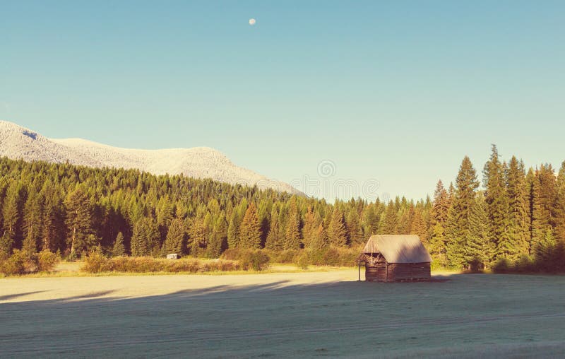 Morning meadow stock image. Image of background, natural - 54179461