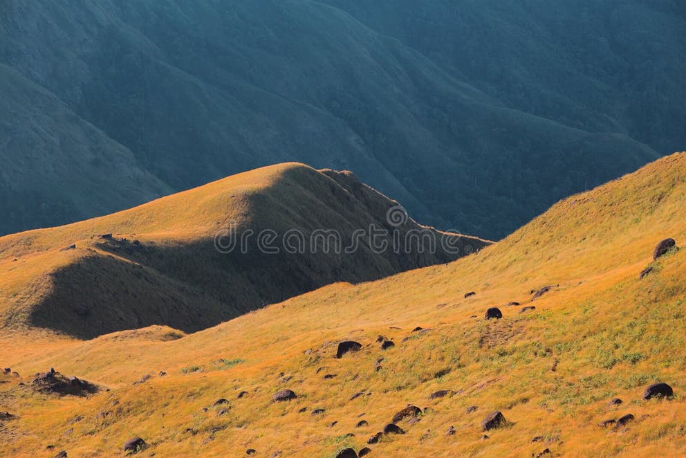 Morning Meadow with Mountains in the Background Stock Image - Image of ...