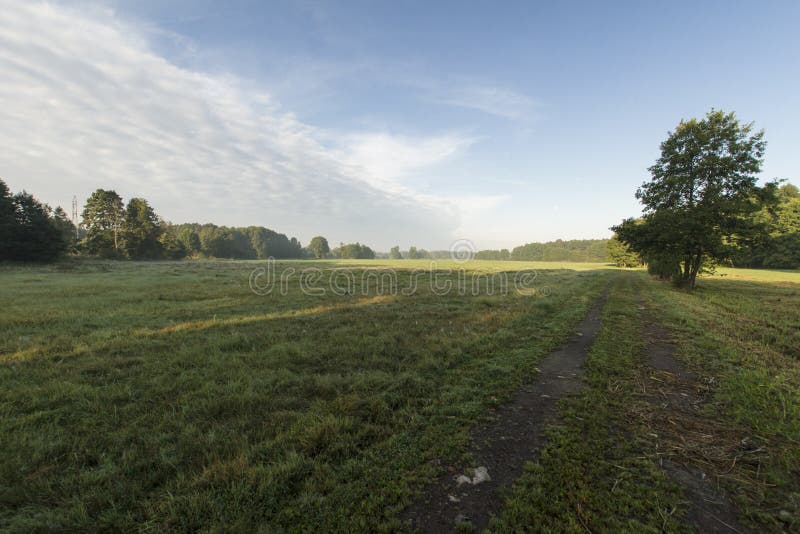 Morning on meadows stock image. Image of morning, meadow - 57043821