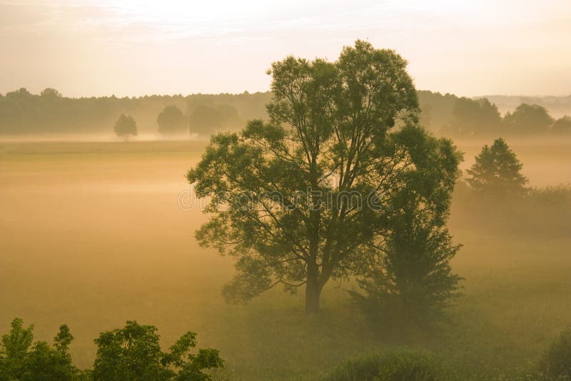 Morning mist stock image. Image of scene, weather, land - 10112303