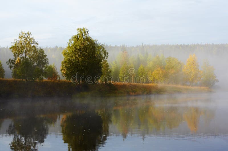Morning mist stock image. Image of sunrise, park, finland - 1245397
