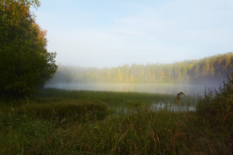Morning mist stock photo. Image of mist, finland, water - 1245378