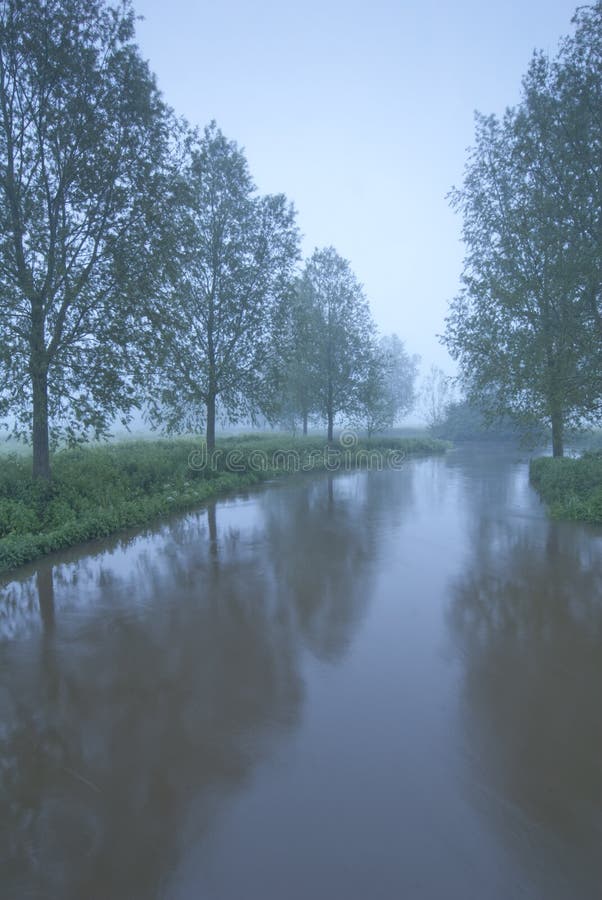 Morning mist stock photo. Image of leaves, stour, landscape - 13343502