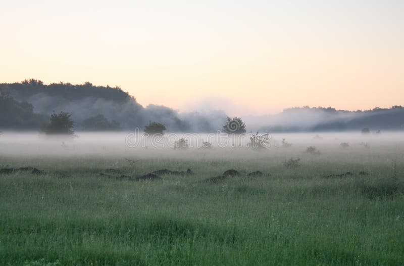 Morning mist stock photo. Image of summer, rural, scene - 15435580