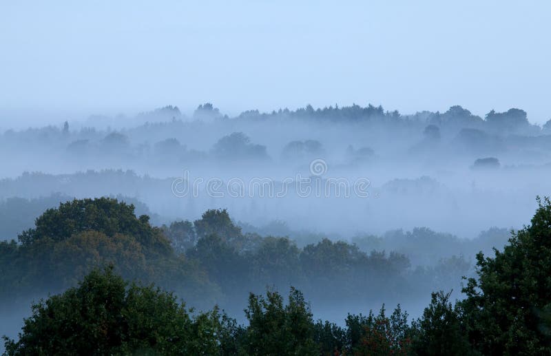 Morning Mist stock photo. Image of scene, october, beauty - 16310126