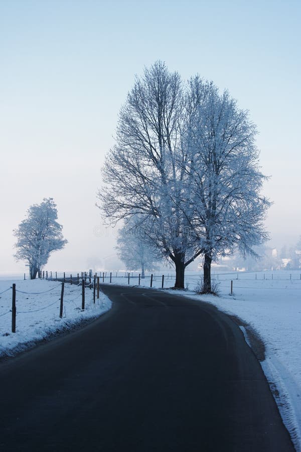Morning mist stock image. Image of frozen, scenics, rural - 3963305