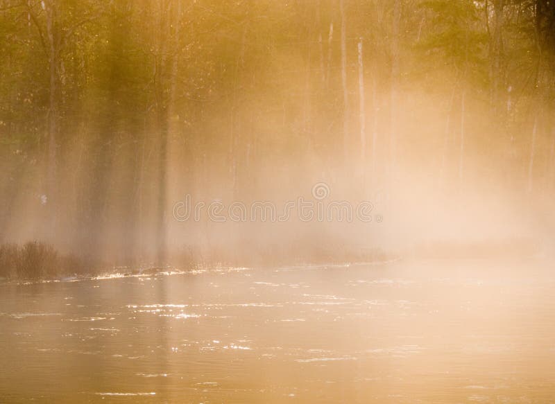 Morning Mist- Bohemian Forest Stock Image - Image of environment ...