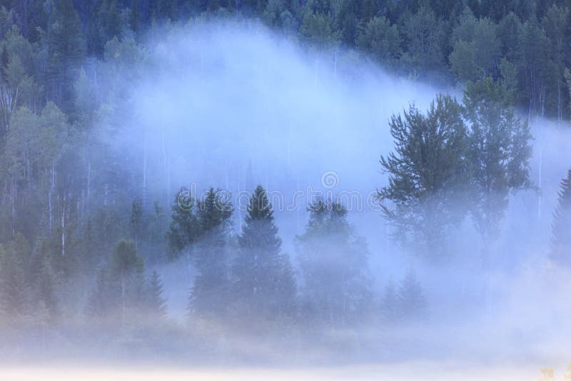 Morning mist stock image. Image of nature, scenic, mountains - 98567569