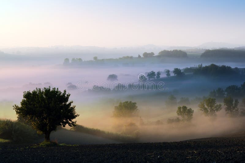 Morning mist in country stock image. Image of scenery - 27312529