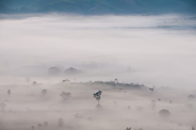Morning Mist Cover Tree and Mountain Stock Image - Image of foggy ...