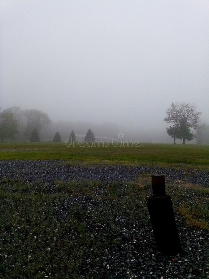 Morning Mist in a Field Rocks Stock Photo - Image of rocks, green ...