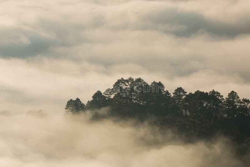 Morning mist and mountain stock photo. Image of land - 49487646