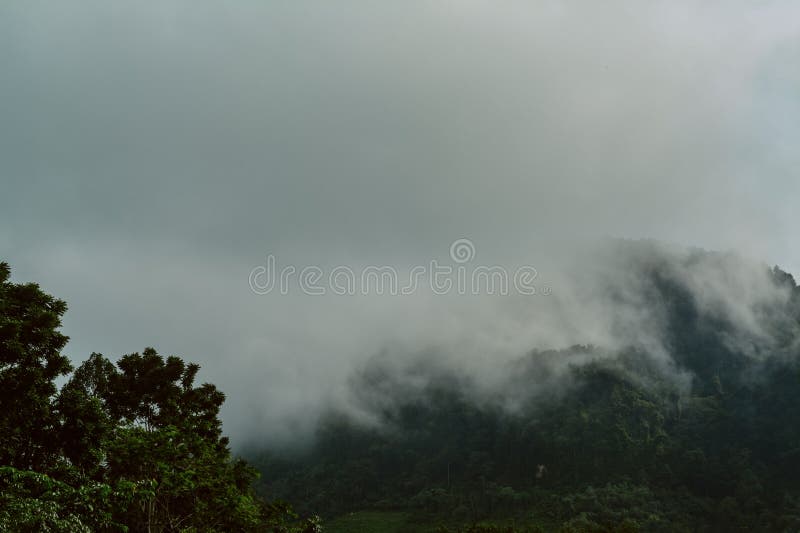 Morning Mist at Mountain and Tropical Rainforest ,Thailand Stock Image ...