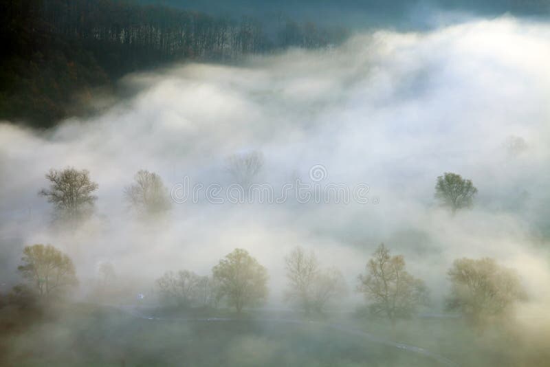 Morning Mist on Mures Valley Stock Photo - Image of ghost, daybreak ...
