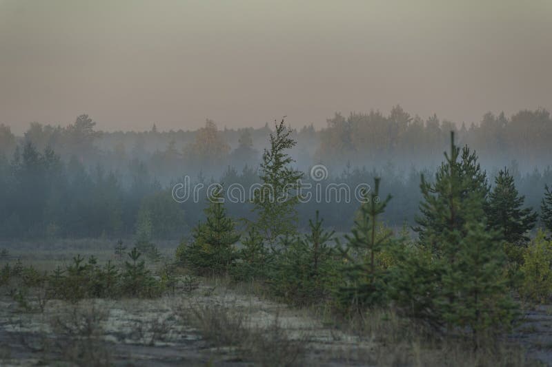 Morning mist stock image. Image of hills, countryside - 38595899