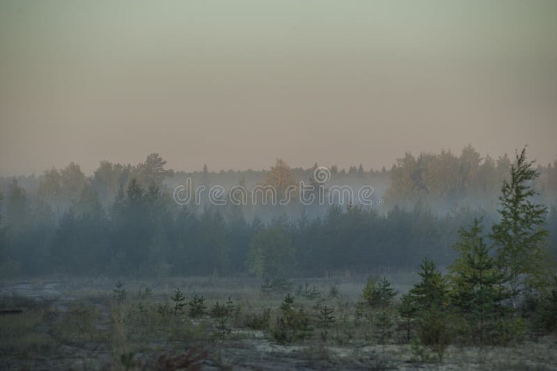 Morning mist stock image. Image of country, hills, misty - 38596381