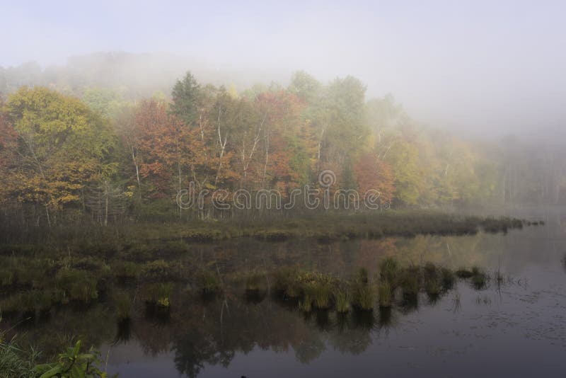 Morning mist over a lake stock image. Image of mist, natural - 45106527