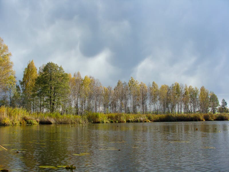 Morning mist over the lake stock image. Image of background - 165445973