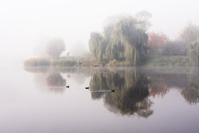 Morning Mist Over the Lake with Reflection in the Water. Fog on a River ...