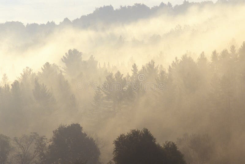 Morning Mist Over Mountains, VT Stock Image - Image of forest, north ...