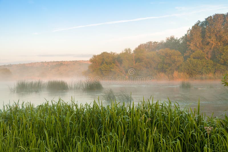 Morning Mist Over the River Stock Image - Image of nature, wood: 41769445