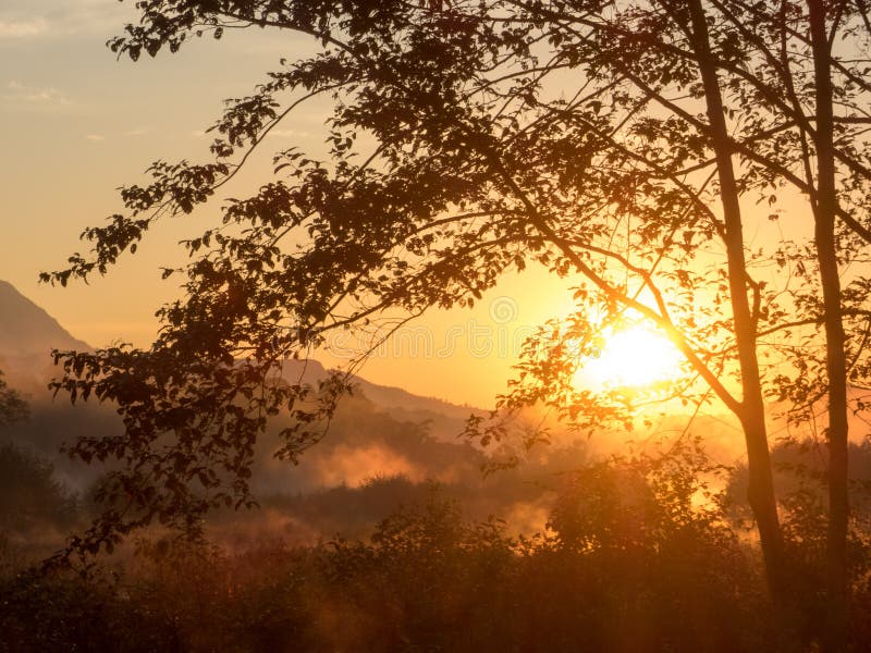 Morning Mist stock photo. Image of mist, colors, sunrise - 82908300