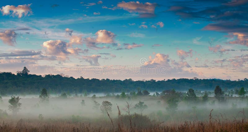 Morning mist and sky. stock photo. Image of scenic, morning - 40080724