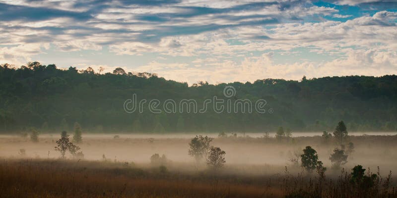 Morning mist and sky. stock image. Image of landscape - 40080747