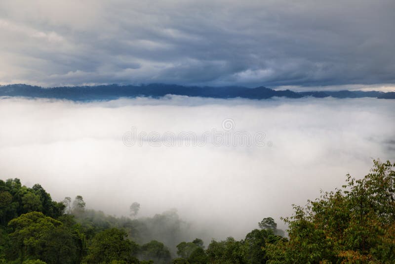 Morning Mist on Top of Mountain in Deep Forest Stock Image - Image of ...