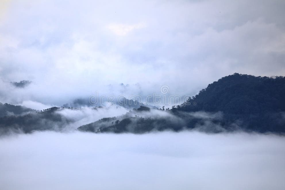 Morning Mist on Top of Mountain in Deep Forest Stock Image - Image of ...