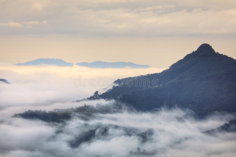 Morning Mist on Top of Mountain in Deep Forest. Stock Photo - Image of ...