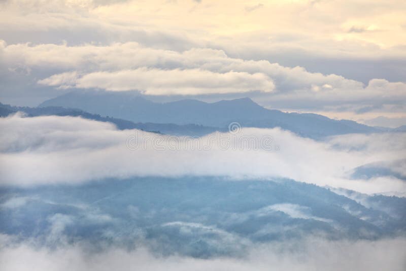 Morning Mist on Top of Mountain in Deep Forest. Stock Image - Image of ...