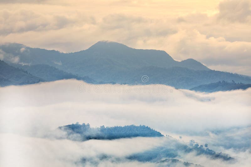 Morning Mist on Top of Mountain at Deep Forest. Stock Photo - Image of ...