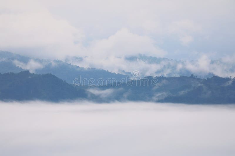 Morning Mist on Top of Mountain in Deep Forest. Stock Image - Image of ...