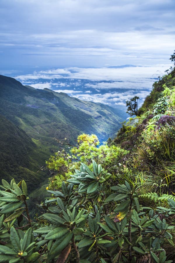 Morning Mist at Tropical Mountain Rang Stock Photo - Image of clouds ...