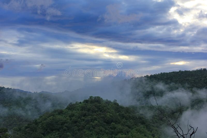 Morning Mist at Tropical Rainforest Stock Photo - Image of mist ...