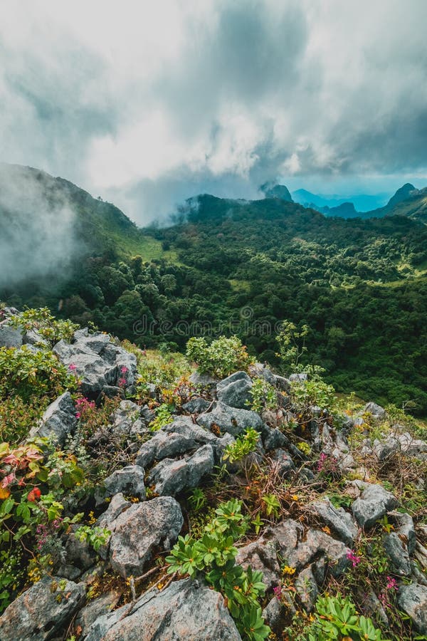 Morning Mist at Tropical Rainforest Stock Image - Image of mountain ...