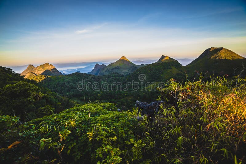 Morning Mist at Tropical Rain Forest Stock Image - Image of moody, dawn ...
