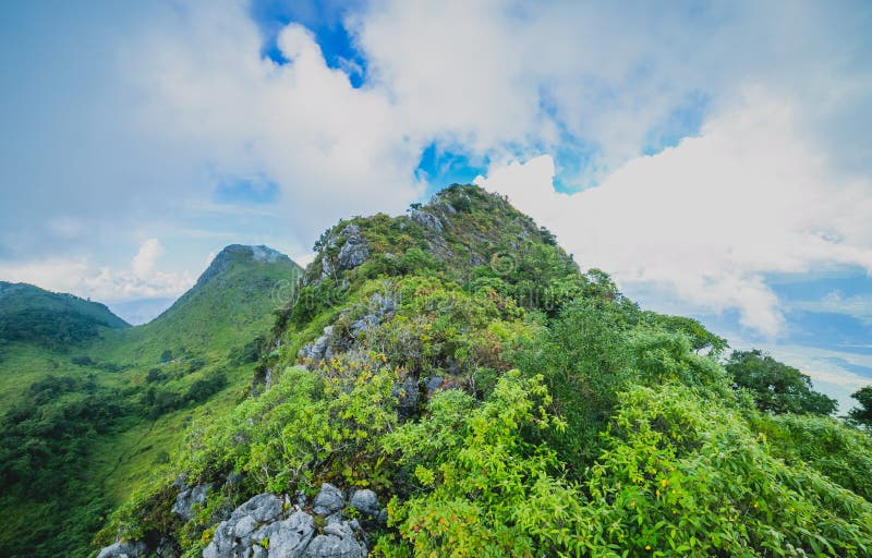 Morning Mist at Tropical Rainforest Stock Image - Image of climate ...