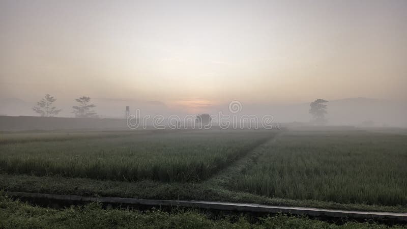 Morning mist view at 5 stock image. Image of view, mist - 243893089