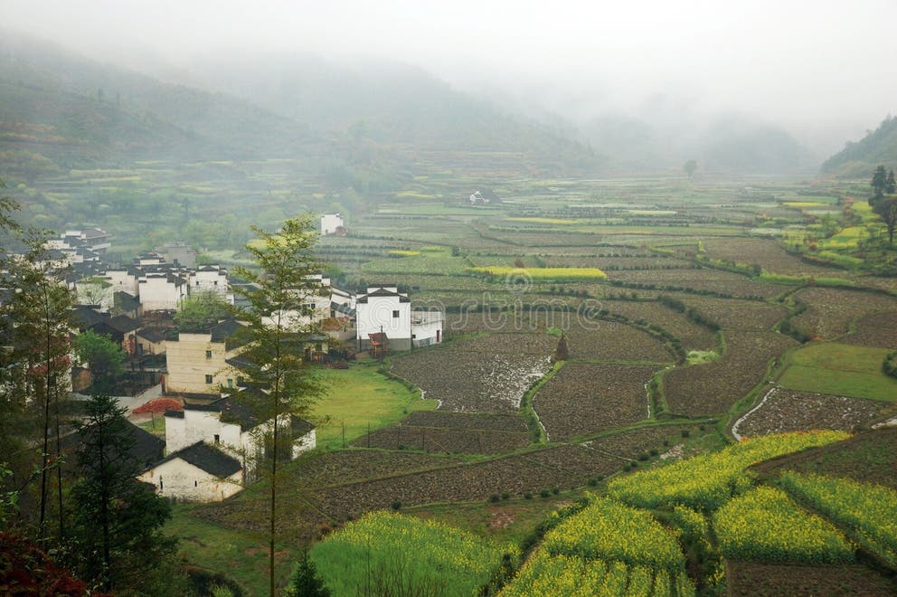 The morning mist village stock photo. Image of bamboo - 7562624
