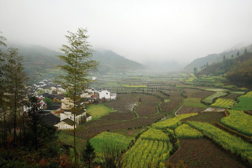 The morning mist village stock photo. Image of village - 7562626