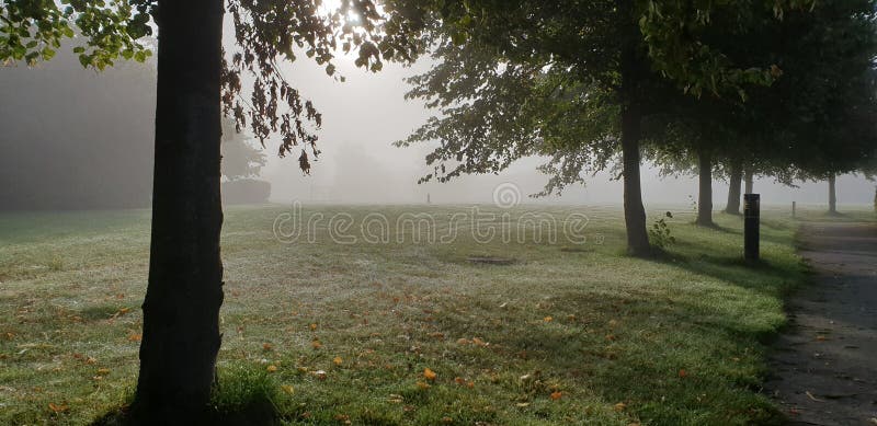 Morning mist during walk stock image. Image of trees - 161303255