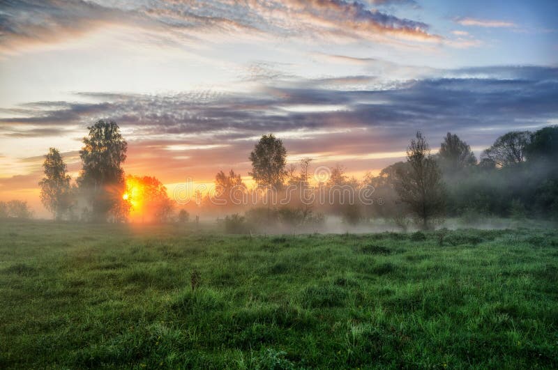 Morning. a Misty Dawn in a Picturesque Meadow. Sun Rays Stock Photo ...