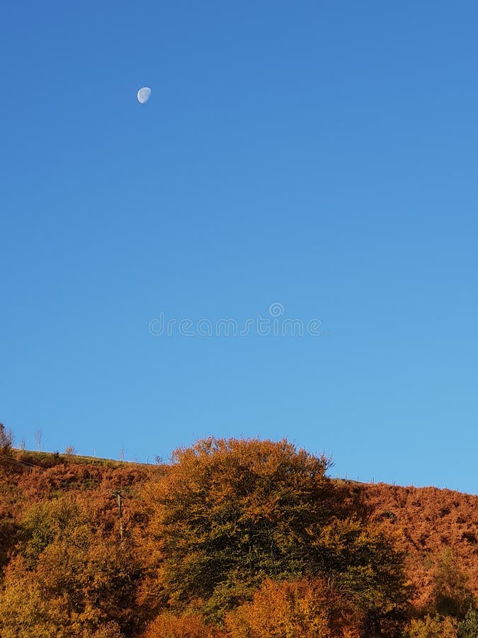 Morning moon stock image. Image of seas, space, mare, outer - 1016525
