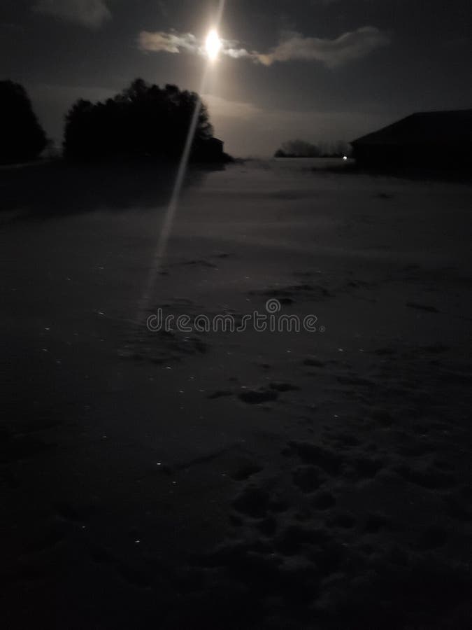 Morning moon stock image. Image of winter, farm, moon - 208958103