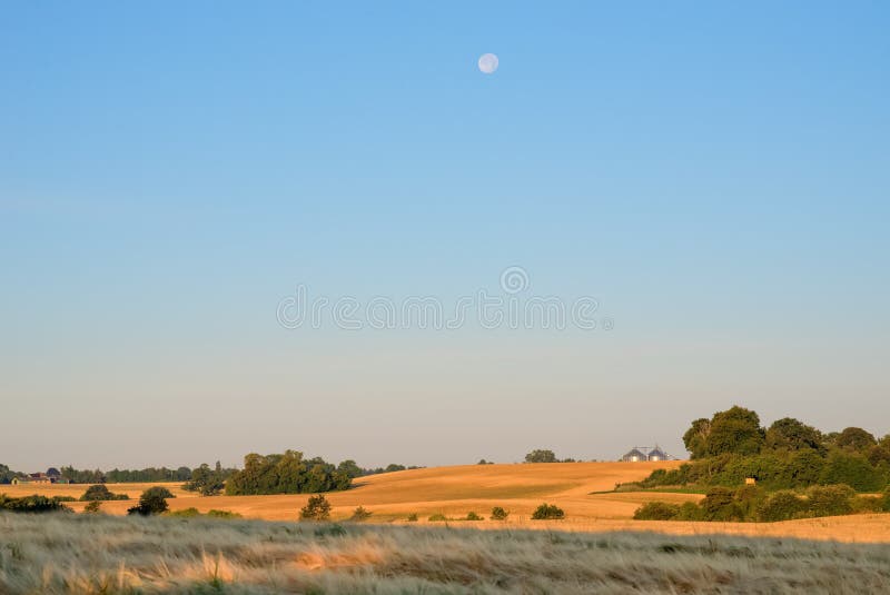Morning moon over fields stock image. Image of lush, clear - 37635243