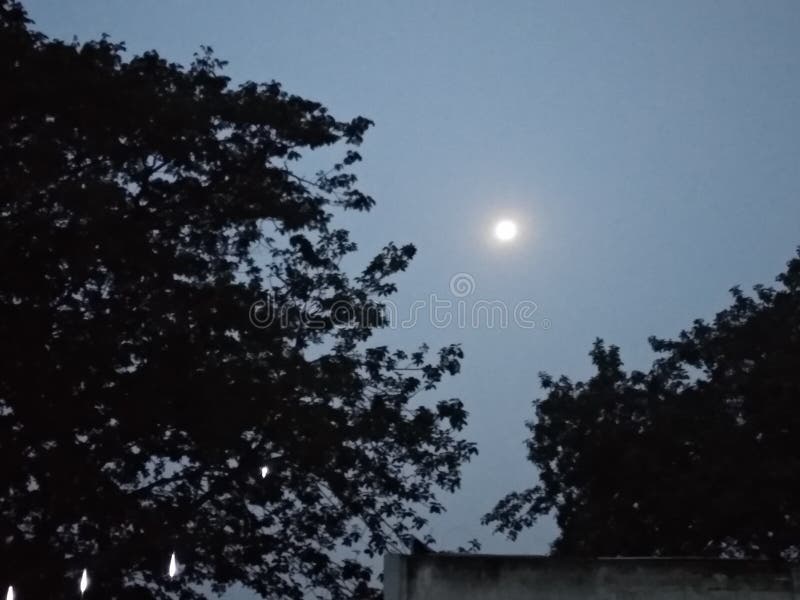 Morning Moon stock image. Image of glooming, morning - 117490175