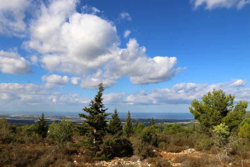 Morning in the Mountains in the North of Israel Stock Image - Image of ...