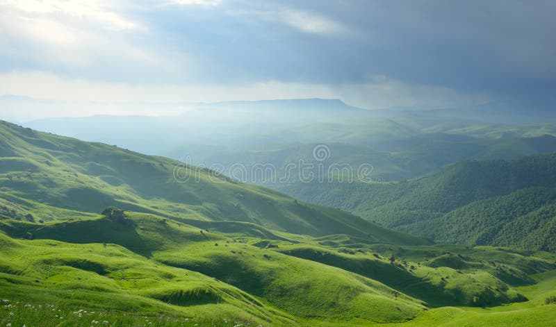 Somber morning stock photo. Image of forest, morning - 55945716